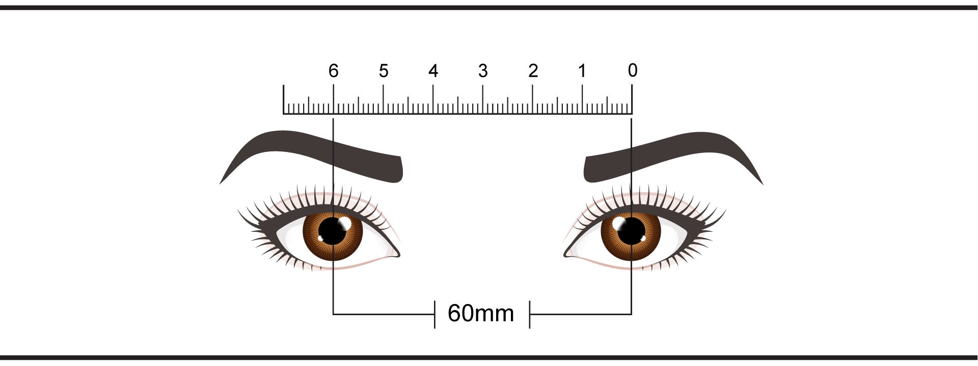 Eyeglasses Measurements - How To Determine The Right Size Eyeglasses Measurements - How To Determine The Right Size